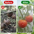4 Pcs Garden Bird Netting for Square Plant Cage, 59" x 18" x 18" Tomato ...