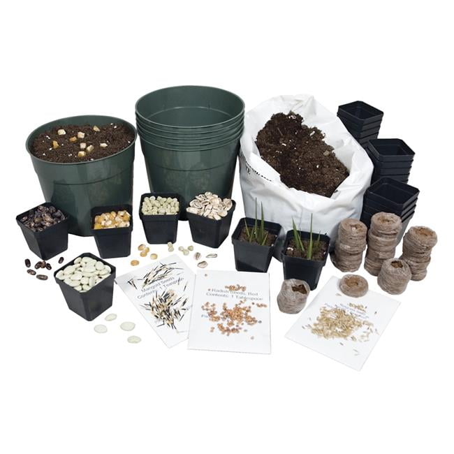 Delta Education 110-8349 Planting Starter Set, 2.50 x 5.50 in., Grade K ...