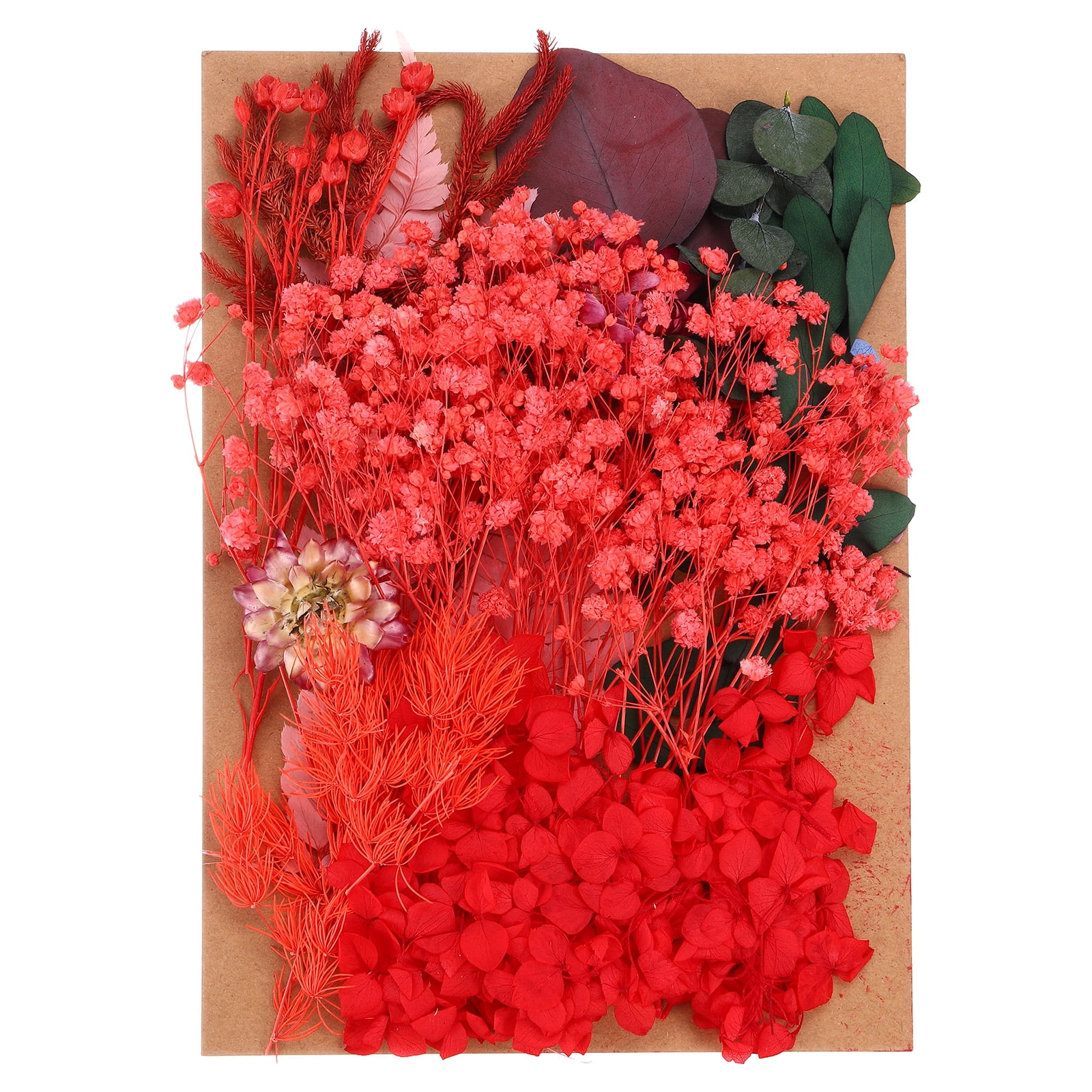 Click here for Unique Bargains Natural Dried Flowers Multiple Col... prices