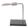 Masteelf Heat Conduction Physics Experiment Educational Thermal ...