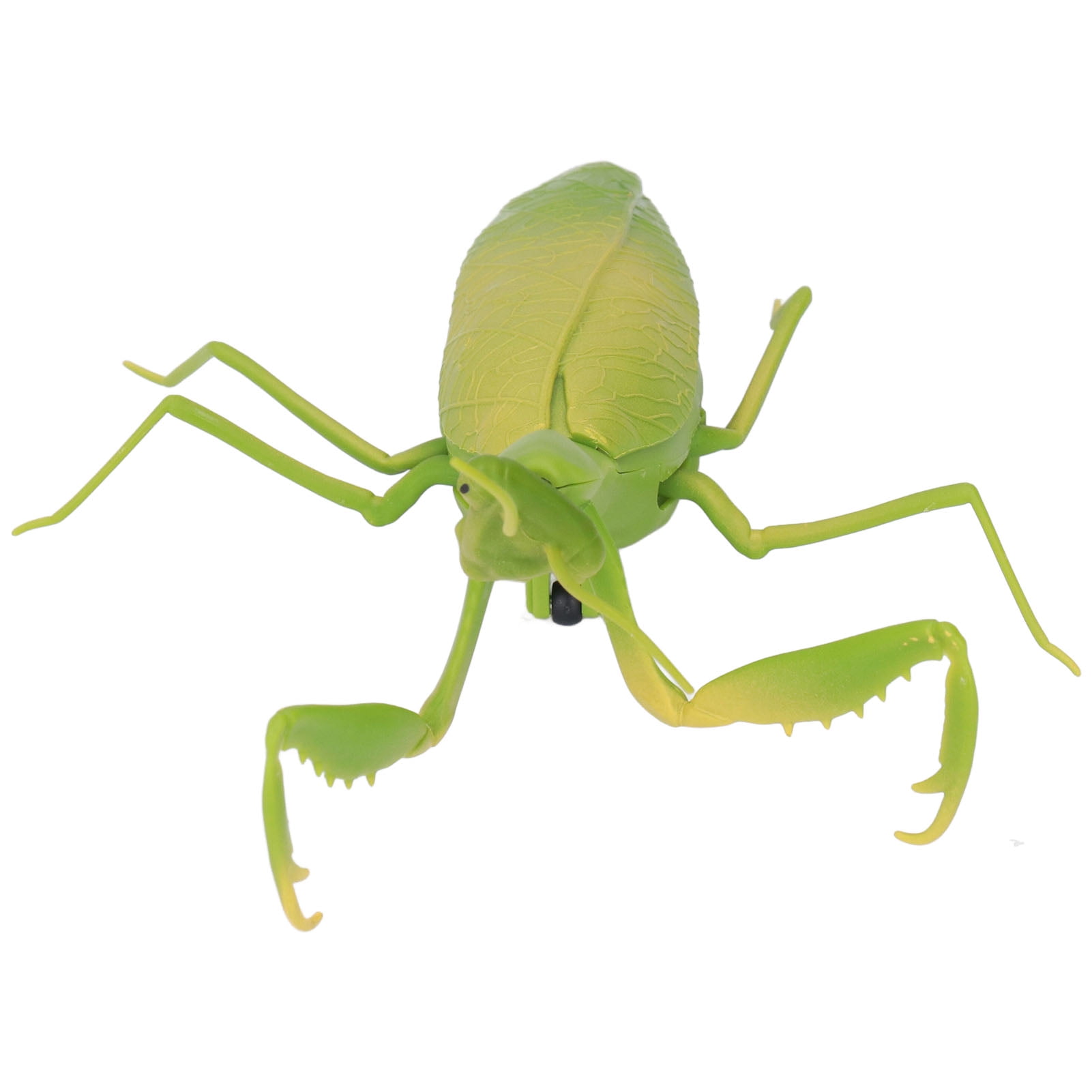 Mantis De Control Remoto, Mantis RC Realista Para El Día De Los ...