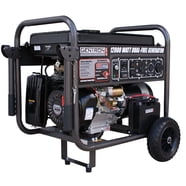 Champion 4000-Watt Electric Start Tri Fuel RV Ready Portable Generator ...