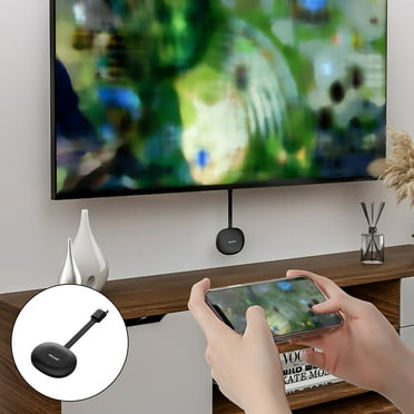 As Seen on TV Rabbit TV Entertainment System - Walmart.com