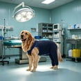 Dog Leg Sleeves Protective Anti Licking Pants Pet Recovery Suit For ...