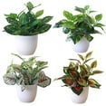 Home Hotel Restaurant Artificial Bonsai with Pot Fake Foliage Plant ...