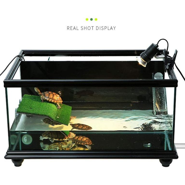 TETRAFAUNA Aquatic Turtle Deluxe Aquarium Kit, 20-gal, 42% OFF