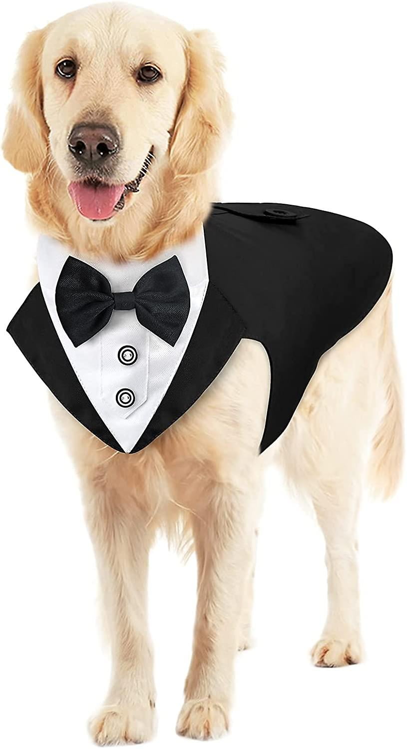 Perro formal esmoquin perro bandana traje conjunto elegante perro boda ...