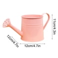 DefiDgd DefiDgd Small Watering Can,Mini Metal Watering Pot with Handle ...