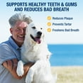 ProDen PlaqueOff Powder – Supports Normal, Healthy Teeth, Gums, and ...