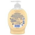 Softsoap Milk and Honey Liquid Hand Soap, Kitchen and Bathroom Hand ...
