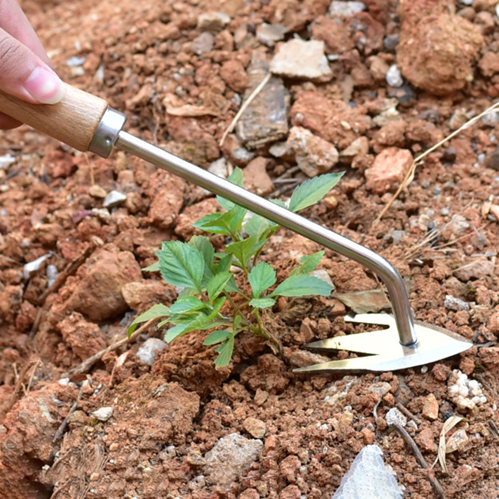 Washranp Stainless Steel Weeder, V-Shaped Fork Sharp Tip with Handheld ...