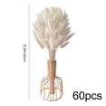 60pc White Bunny Tails Dried Flower Branches | 12.6" Faux Pampas Grass ...