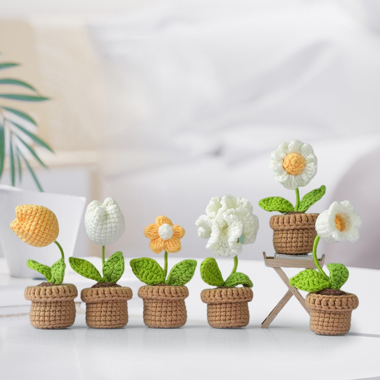 Crocheted Planter DIY Supplies Crochet Craft Set Birthday Gift Table ...