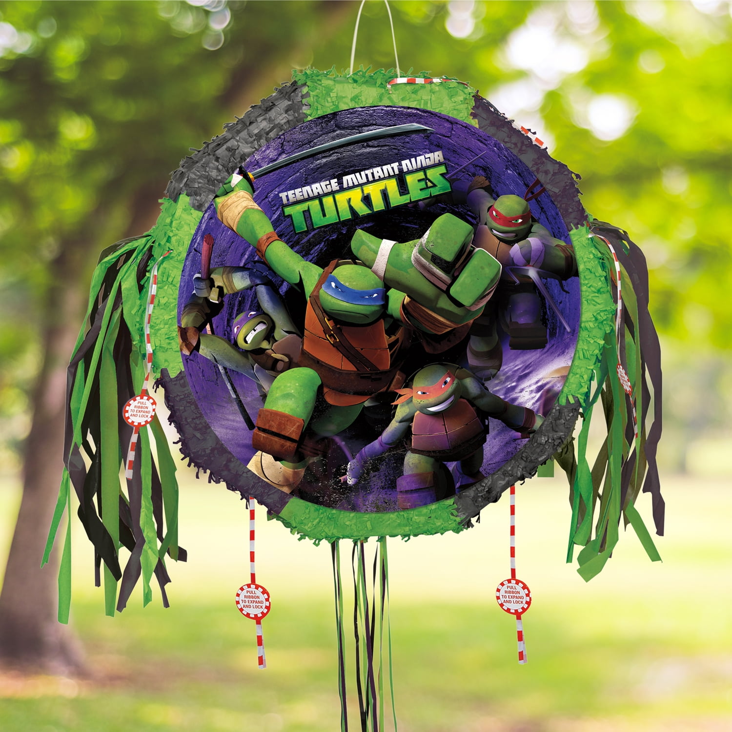 Tmnt Pinata