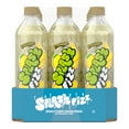 Flavored Fizzy Splash Fizz, Lemonade Sparkling Water Beverage with ...