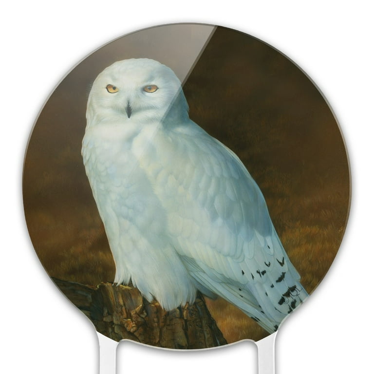 Stump Prom Decorations | Shelly Lighting