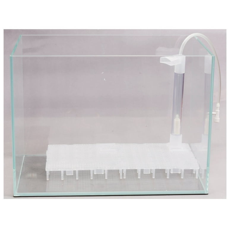 Undergravel Filter Set Up