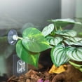 Bettas Fish Hammock Plant Suction Cup Bed for Safety Underwater Fish ...