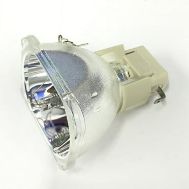 EMP-DE1 Compatible Lamp for Projector with 150 Days Replacement ...