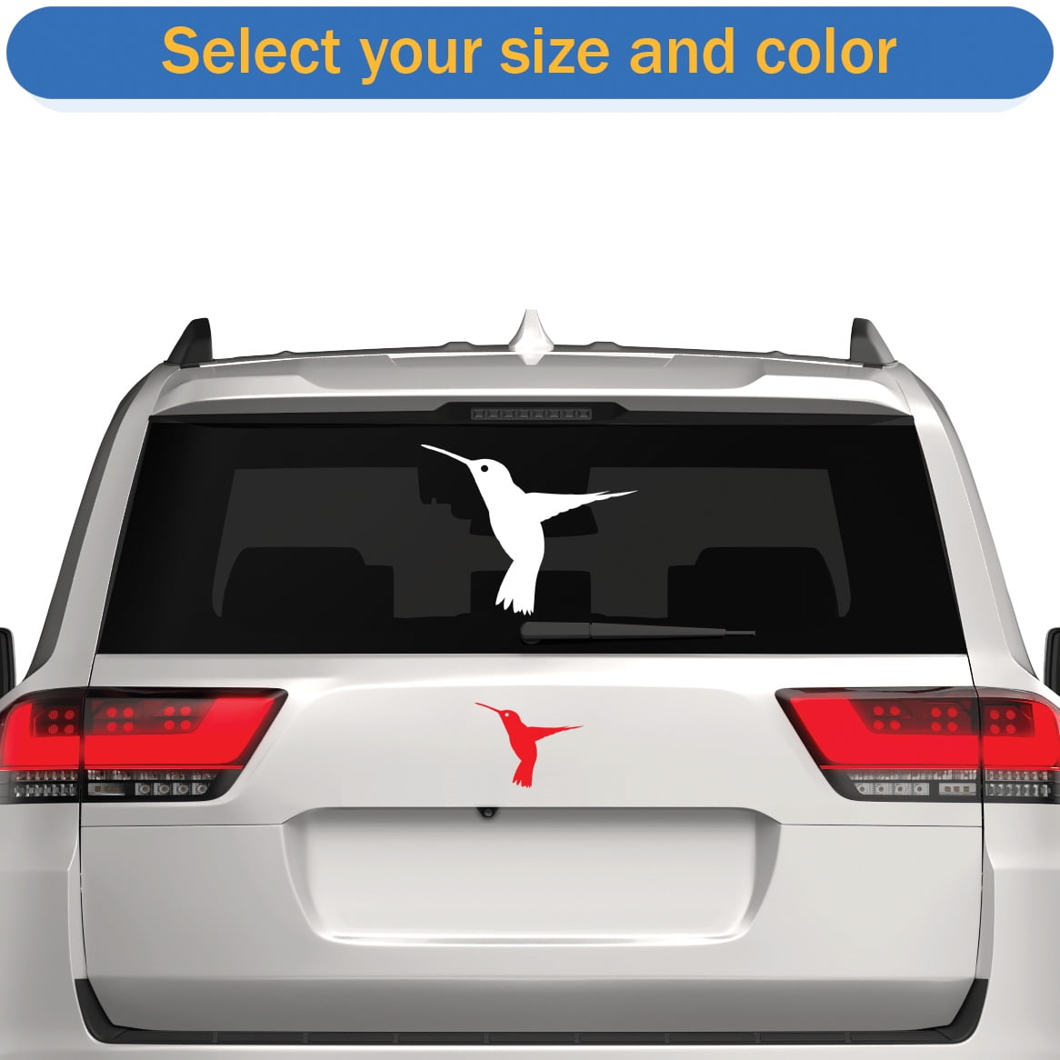 Hummingbird Sticker Decal Die Cut - Self Adhesive Vinyl - Weatherproof ...