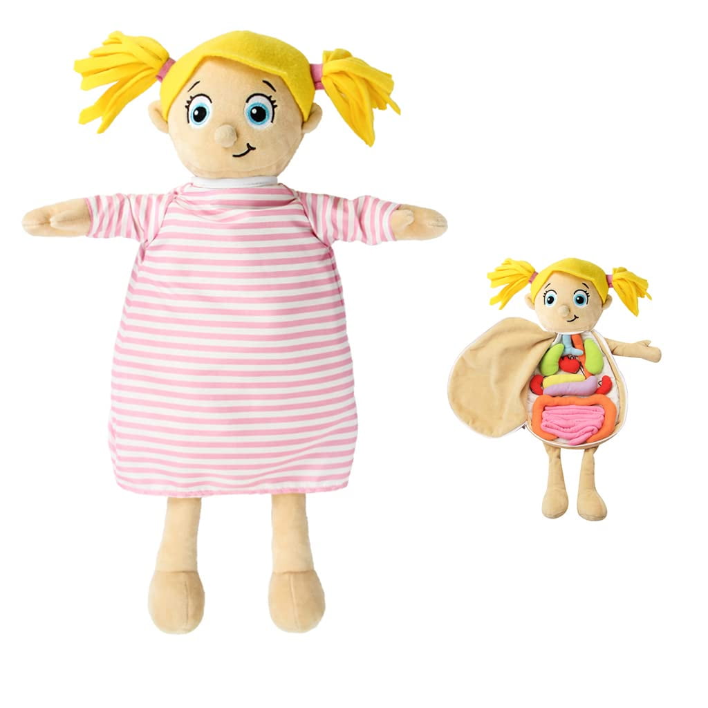 Blublu Park Human Body Anatomy Toy, Preschool Educational Organ Plush ...