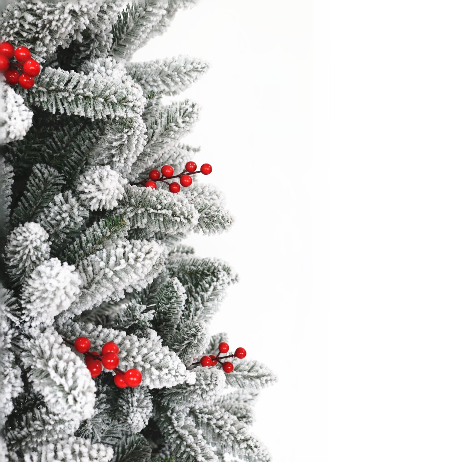 Real Christmas Tree White Background