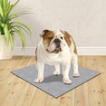 Four Paws Products 045663974817 22 x 23 in. Standard Wee-Wee Premium ...