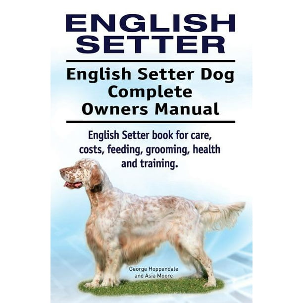 How Much Does An English Setter Cost