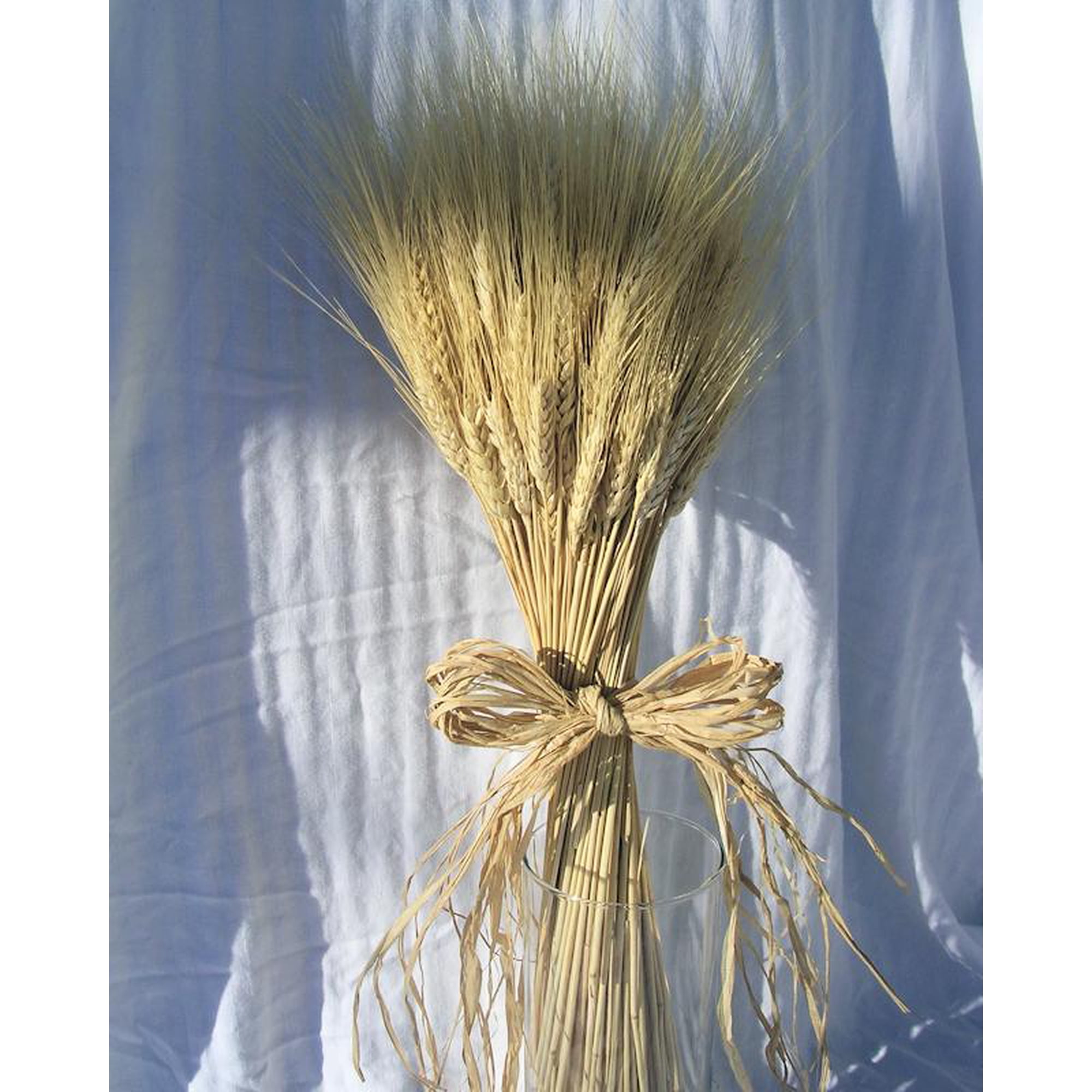 Wheat Stalks Bundle