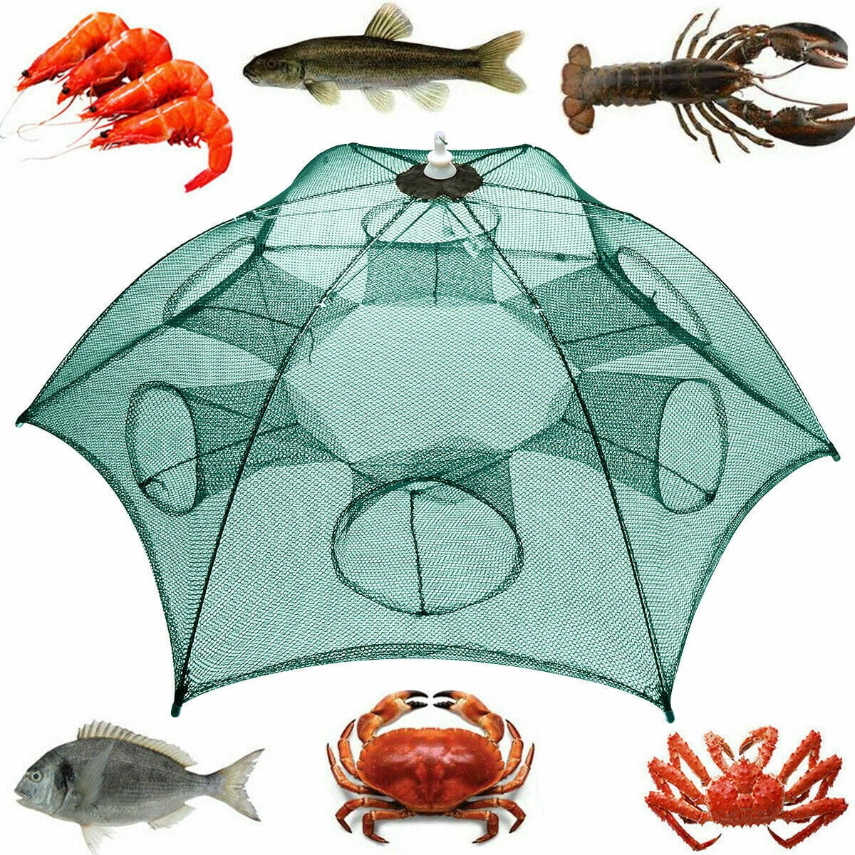 YouLoveIt Foldable Fishing Bait Trap Crab Net Foldable Fish Minnow Carb ...