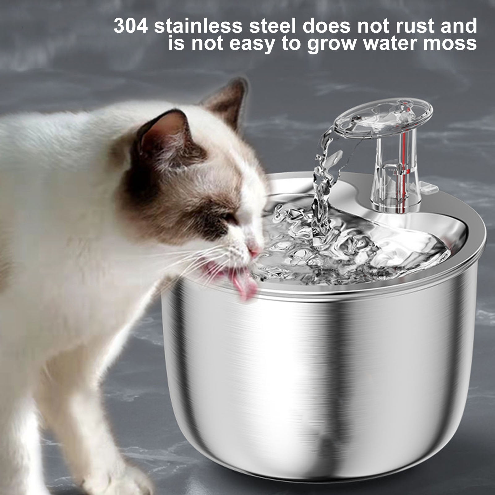 Anvazise 1 Set 2L Pet Water Fountain Stainless Steel Large Capacity ...