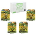 Teenage Mutant Ninja Turtles: Classic 4" 2003 Turtles 4-Pack Figure ...