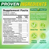 Spring Valley Advanced Digestive Enzymes, 60 Count - Walmart.com