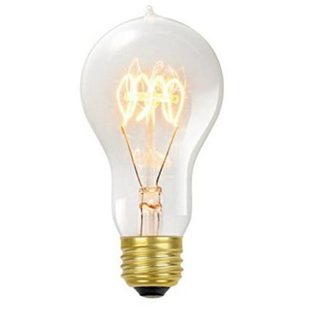 01325 60W A19 Incandescent Vintage Edison Bulb | Walmart Canada