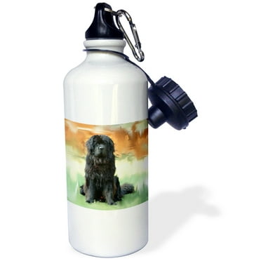 3dRose Congratulations On Making Judge, Sports Water Bottle, 21oz ...