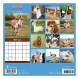 2020 Llamas Mini Calendar - Walmart.com