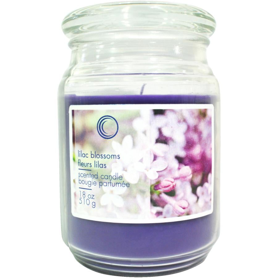 Click here for Candle Concepts 18oz Jar Lilac 18 Oz prices
