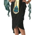 Incharacter Costumes Womens Royal Cleopatra Dress Costume - Size X ...
