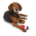 Rocket POP Freezable Water Toys for Dogs Keep Your Pup Cool on Hot ...
