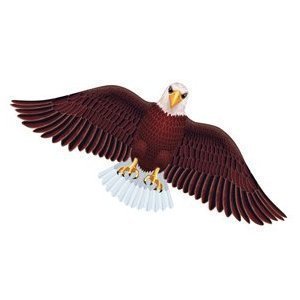 Wildlife American Bald Eagle Bird Wing Flapper Kite-55" Wingspan Single ...