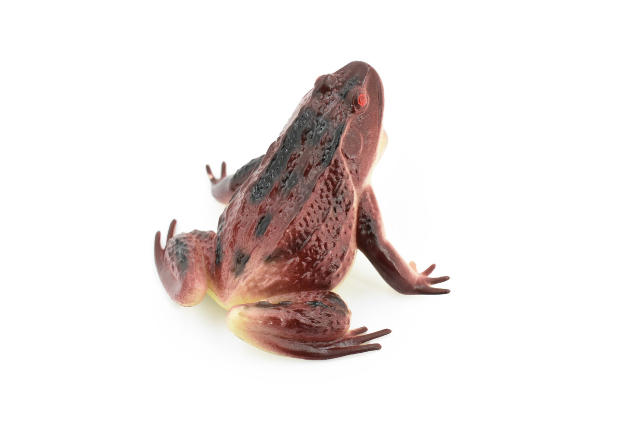 Frog, Red Toad Plastic Garden Toy Realistic Rainforest Figure Model ...