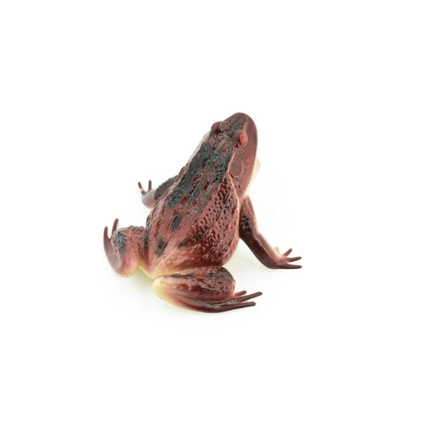 Frog, Red Toad Plastic Garden Toy Realistic Rainforest Figure Model ...