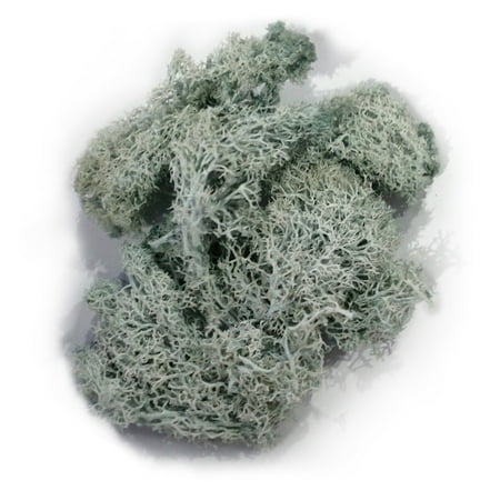 Artificial Moss Flower Wall Landscape Wedding Party Garden decoration ...