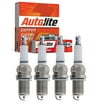 Autolite APP5325 Double Platinum Spark Plug (4 Pack) - Walmart.com