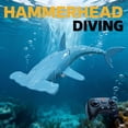 RC Shark with Water Spray & Diving, 2.4GHz Electric Swimming Fish with ...