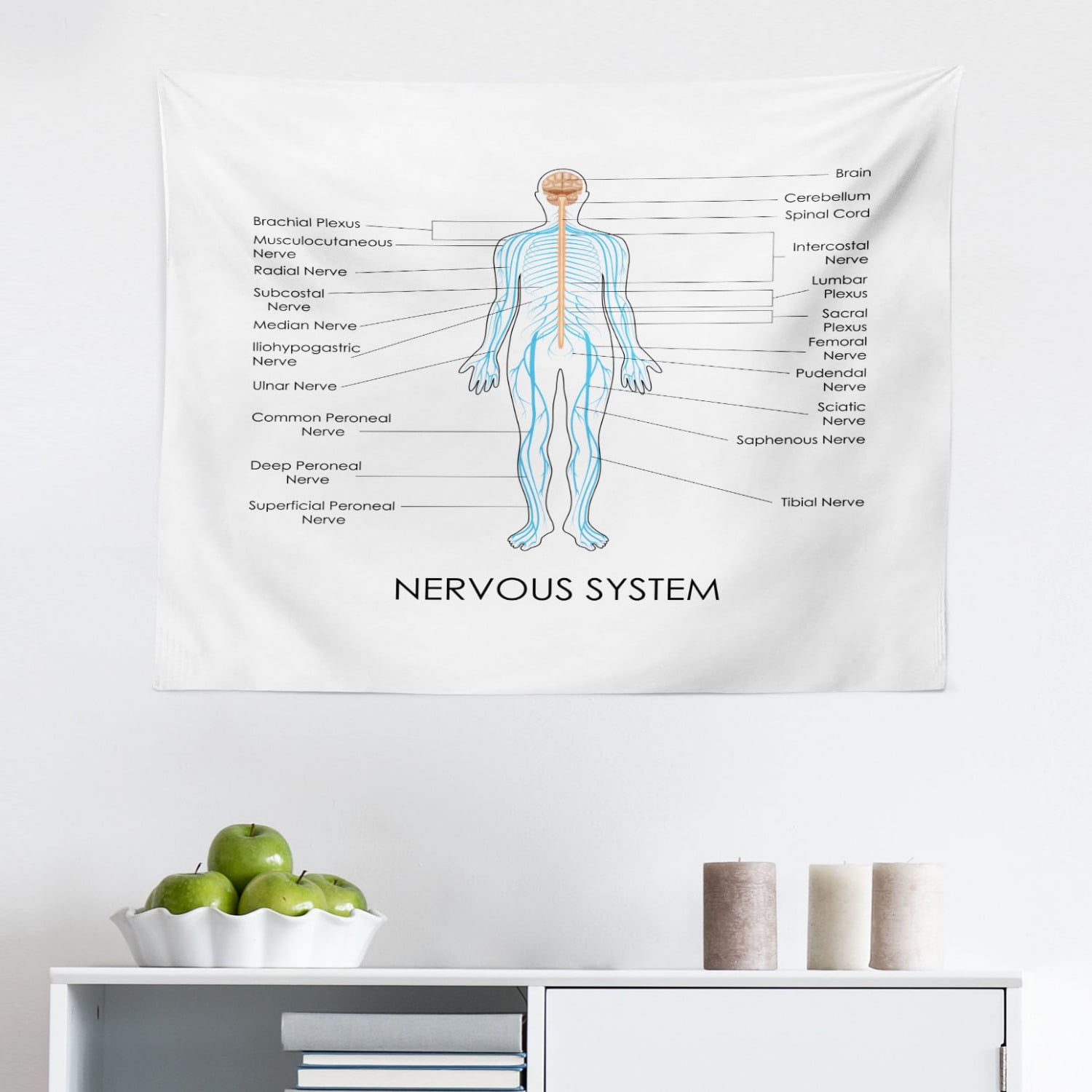 Anatomy Tapestry, Structure of The Human Brain Parts Illustraiton on ...