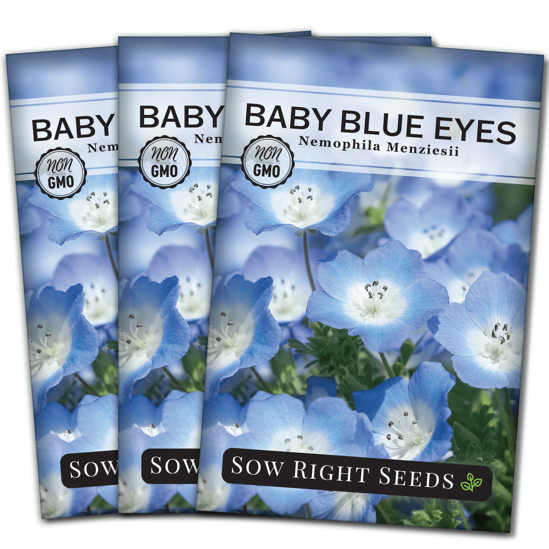 Baby Blue Eyes Seeds - Non GMO Heirloom Varieties for your Flower ...