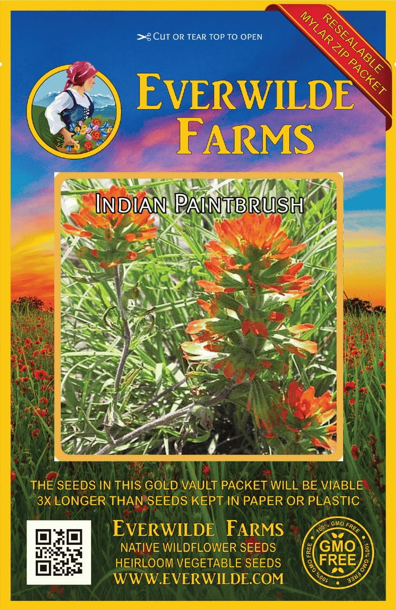 Everwilde Farms - 800 Indian Paintbrush Native Wildflower Seeds - Gold ...