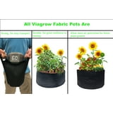 2 Gal. Breathable Fabric Root Aeration Pot with Handles (10-Pack ...