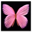24 X 24 in. Nova Butterfly Pink Single-Paneled Handmade Metal Wall Art ...